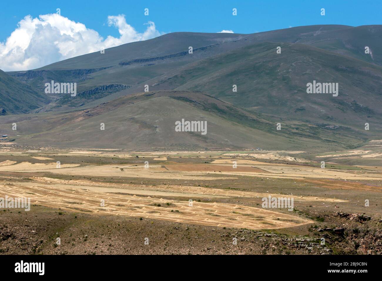 Agricultural fields including a paddock with hay stacks sit at the base ...