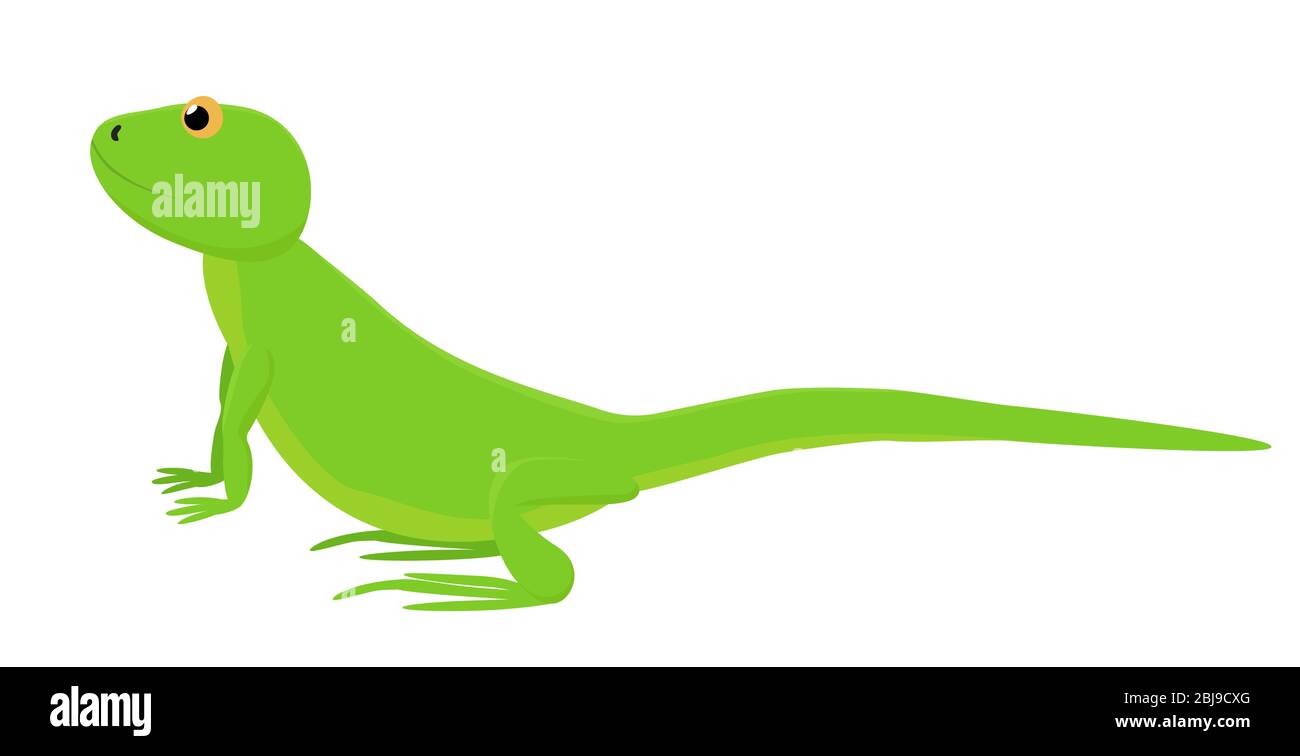 Green Lizard Clipart