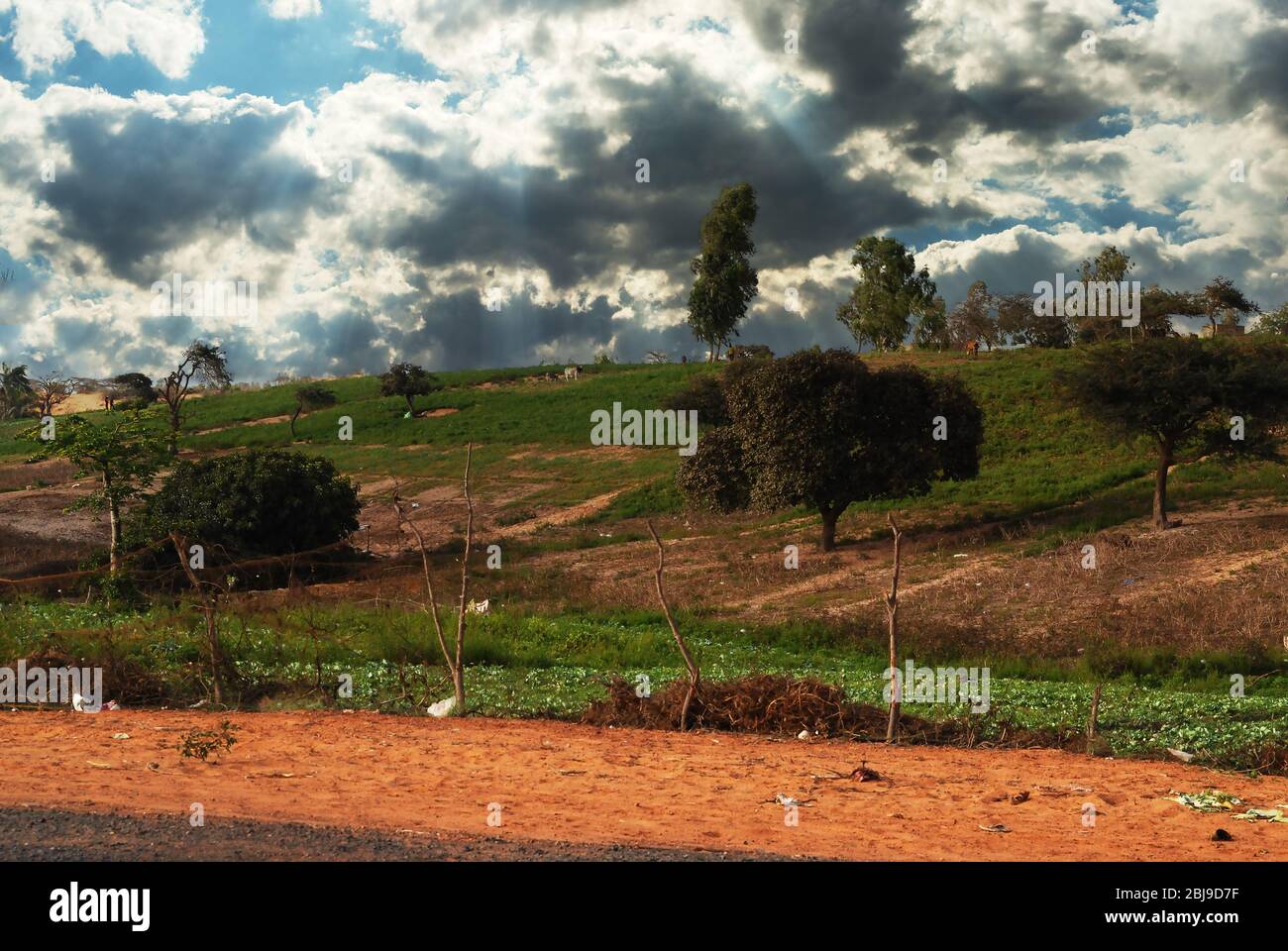 Senegal rural road hi-res stock photography and images - Alamy