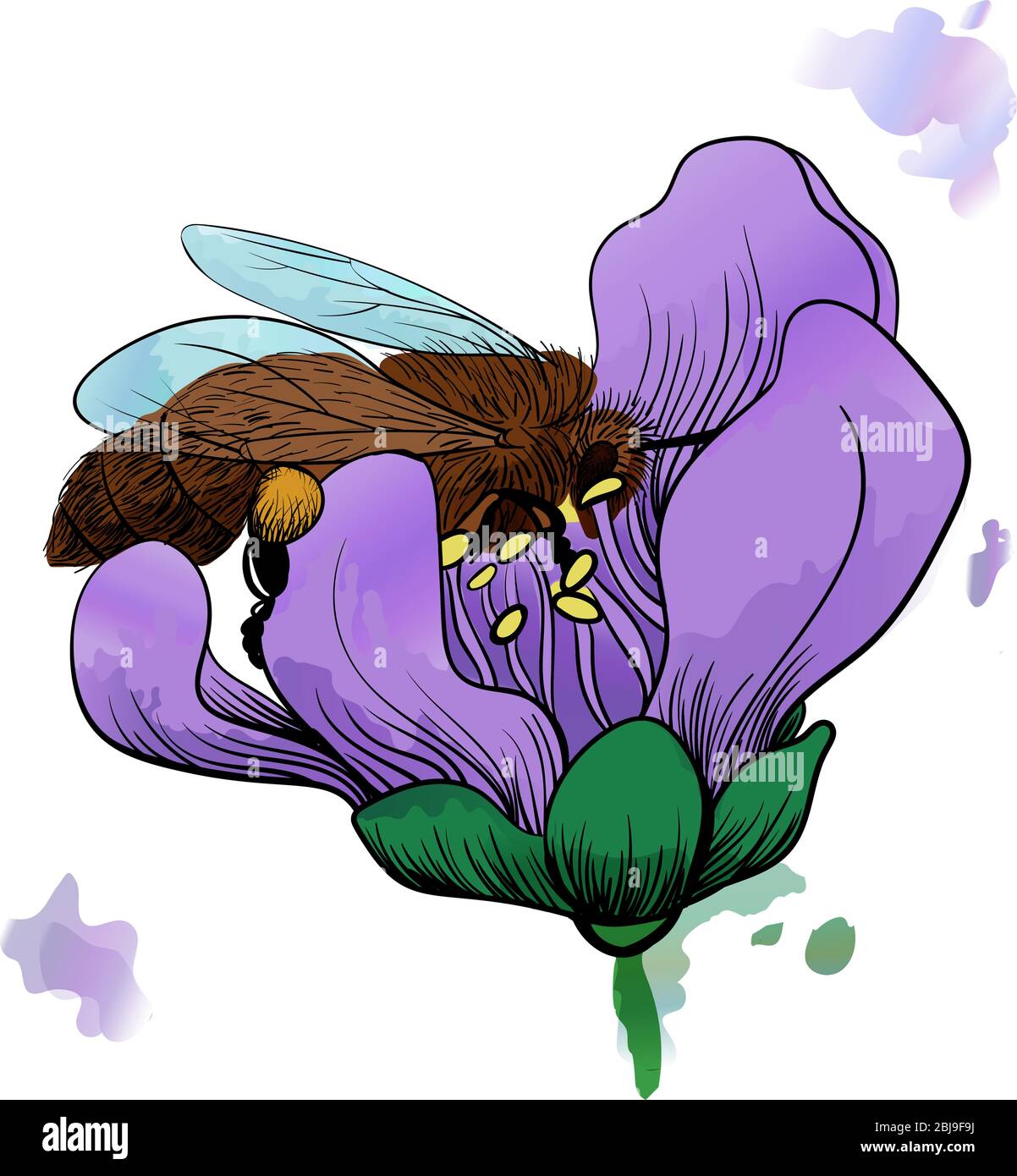 bee in a purple flower collects honey. black outline illustration with ...