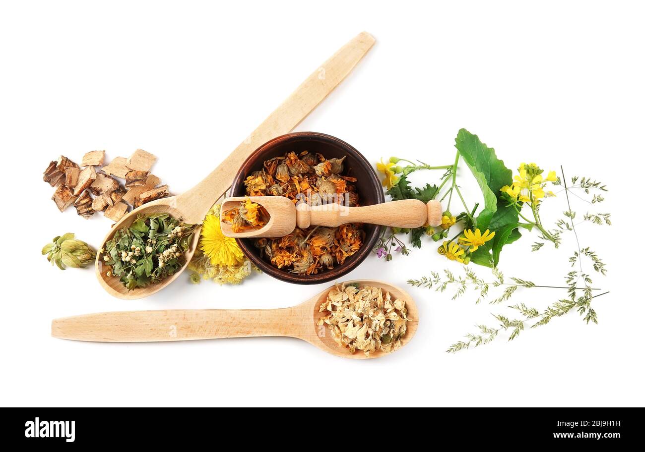 Natural flower and herb selection Stock Photo - Alamy