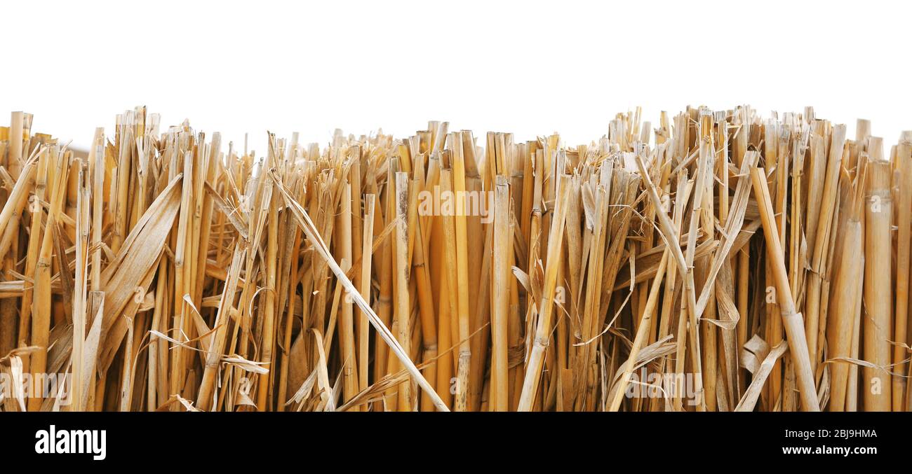 Dry straw on white background Stock Photo - Alamy