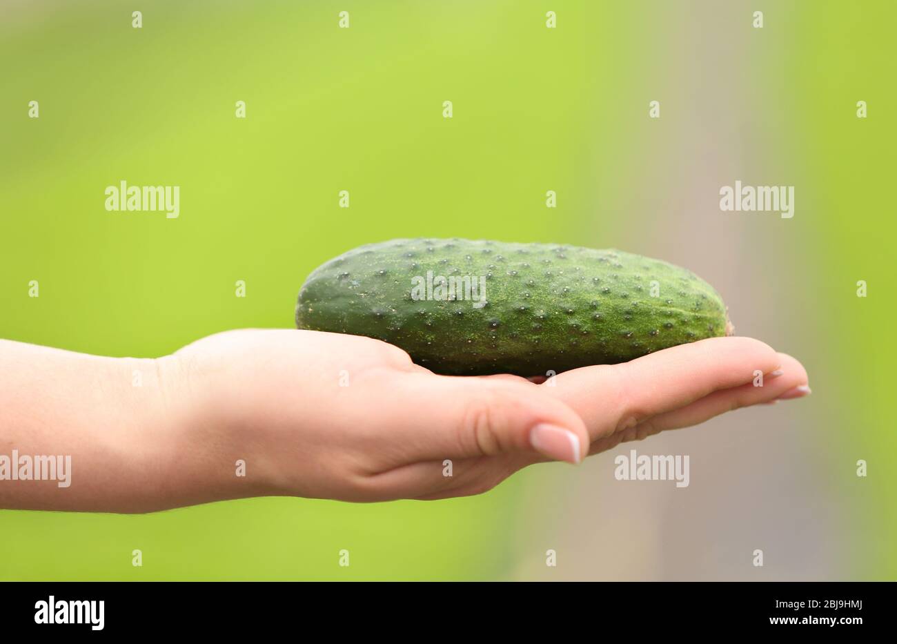 Hand holding cucumber hi-res stock photography and images - Alamy