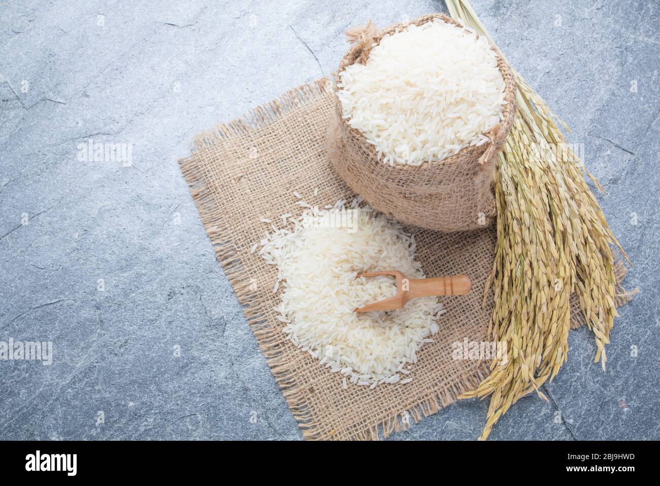 thai fragrant jasmine rice in a spoon with gold spike on Sack Stock ...