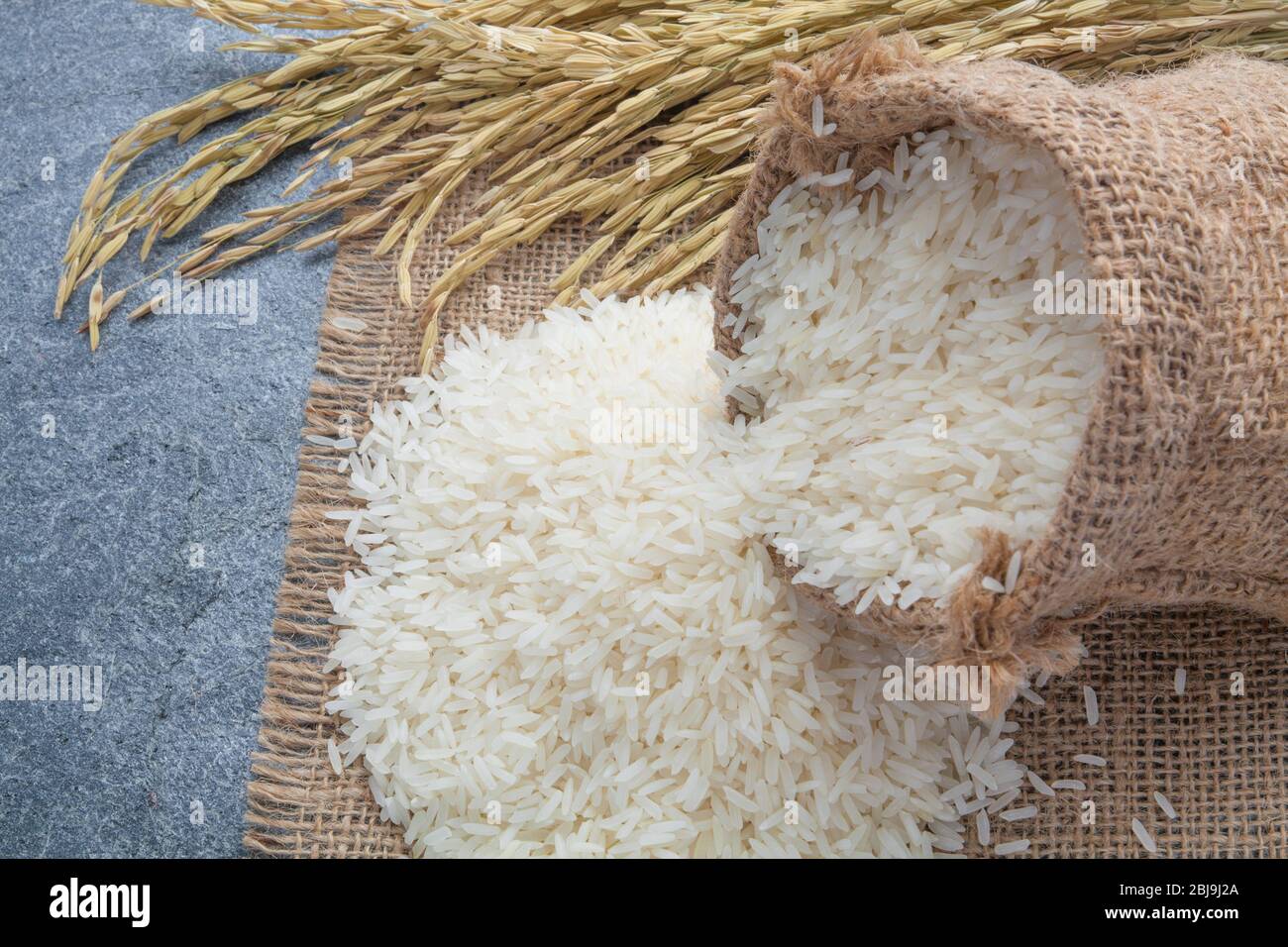 thai fragrant jasmine rice in a spoon with gold spike on Sack Stock ...