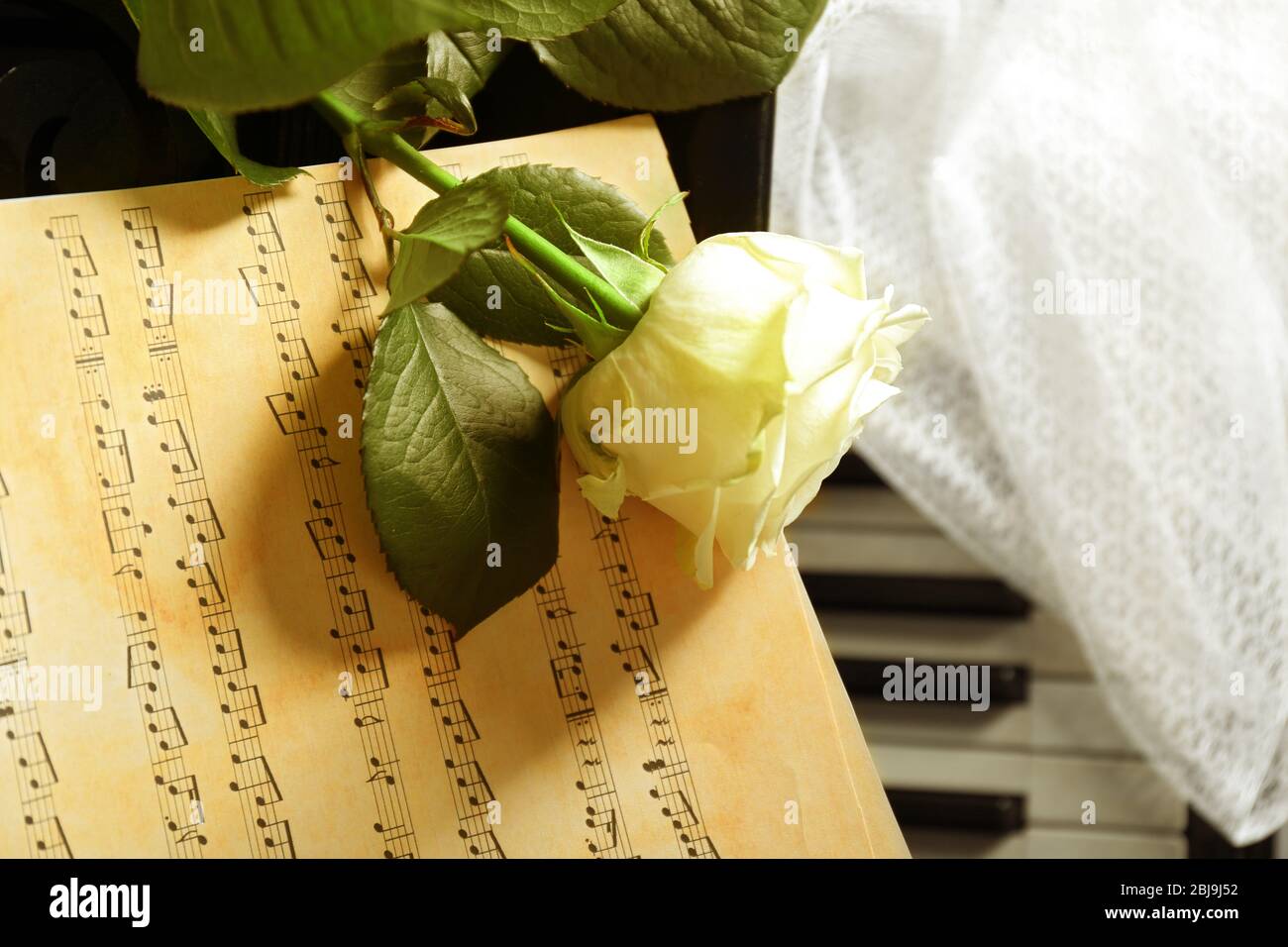 White rose with music notes on piano keys Stock Photo - Alamy