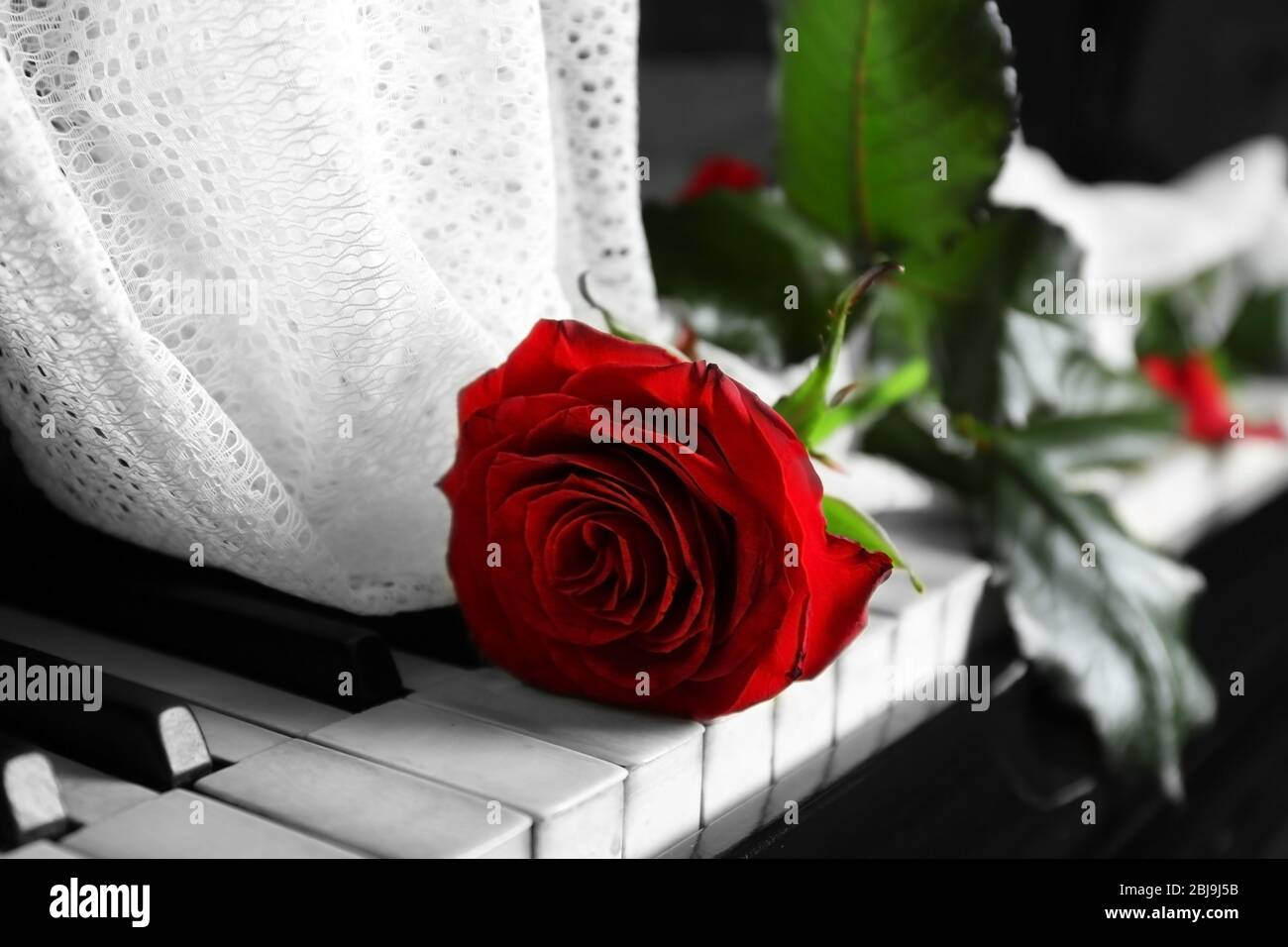 Red rose on piano keys Stock Photo - Alamy