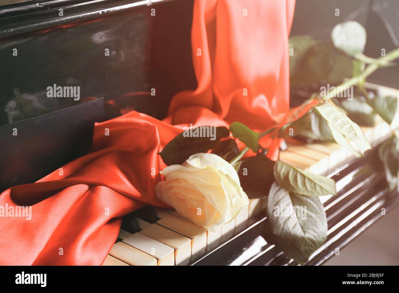White rose on piano keys Stock Photo - Alamy