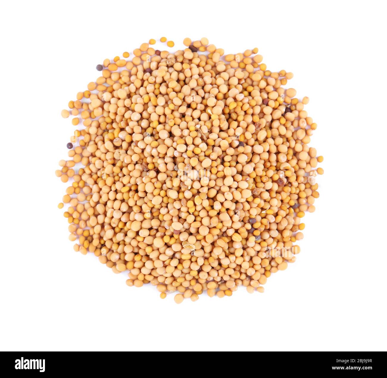 Mustard seeds isolated on white Stock Photo - Alamy