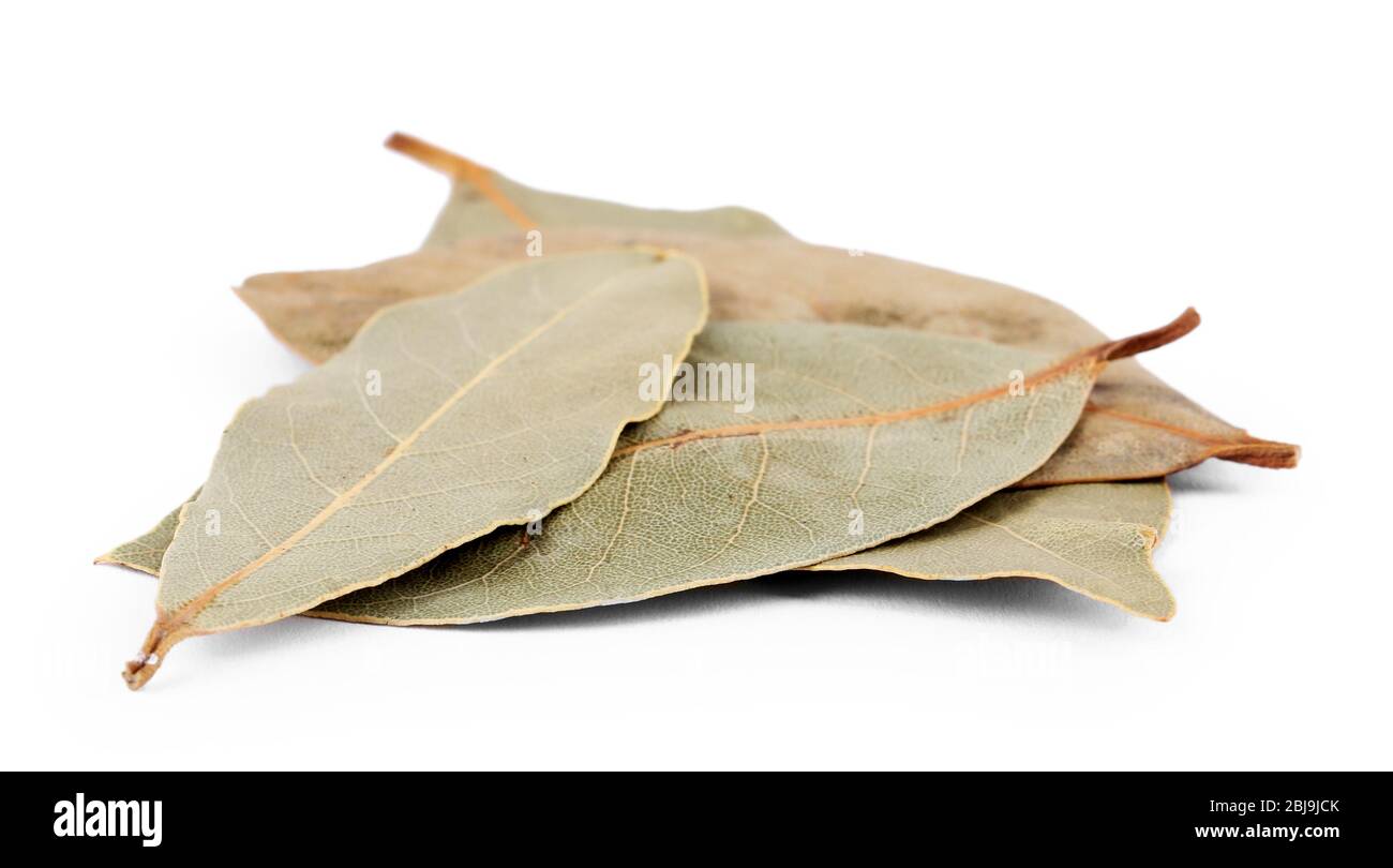 Bay leaves isolated on white Stock Photo - Alamy