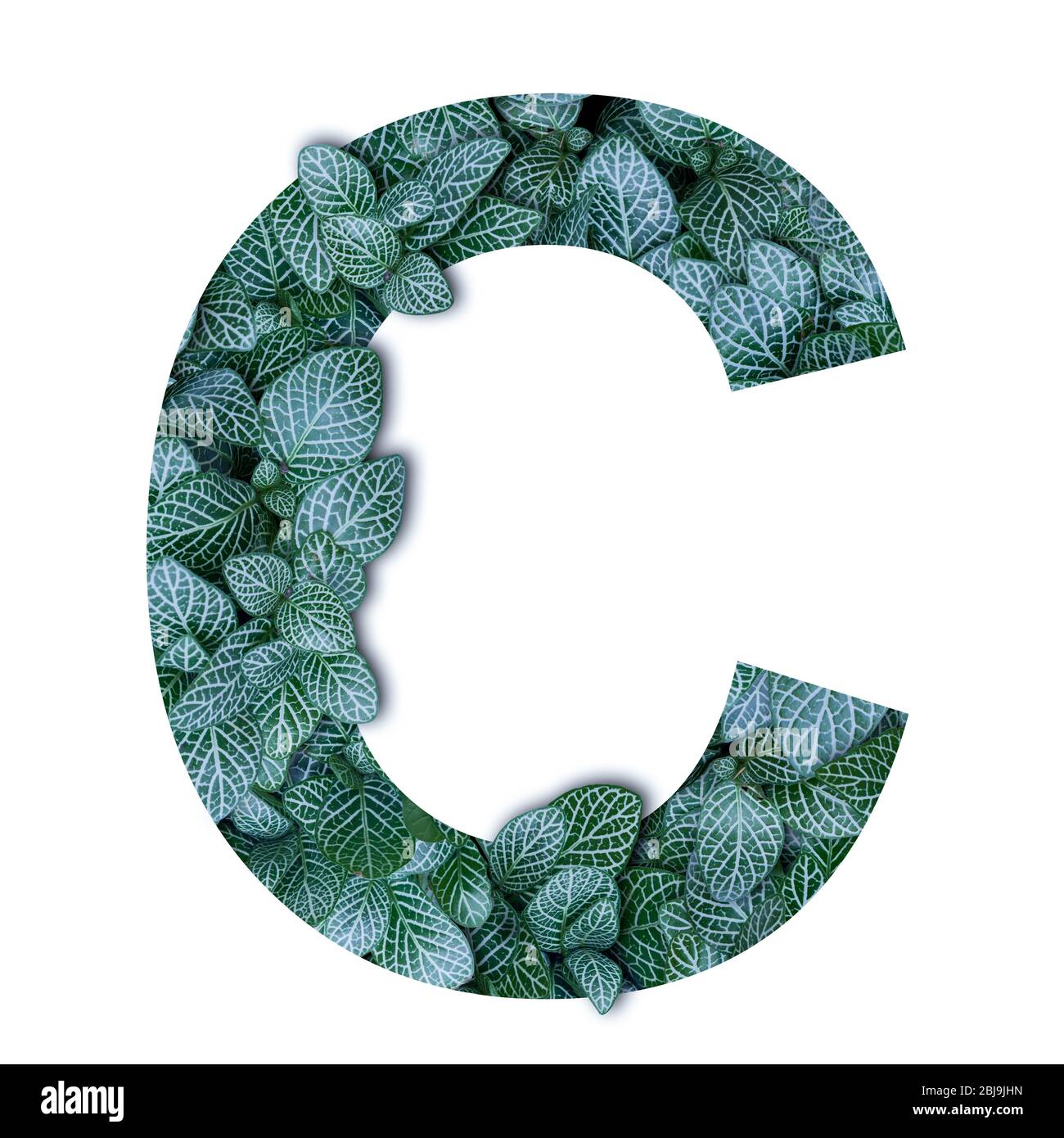 Letter C Found In Nature