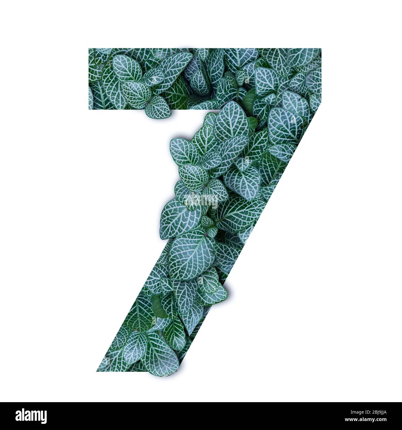 Nature concept alphabet of green leaves in number seven shape Stock ...