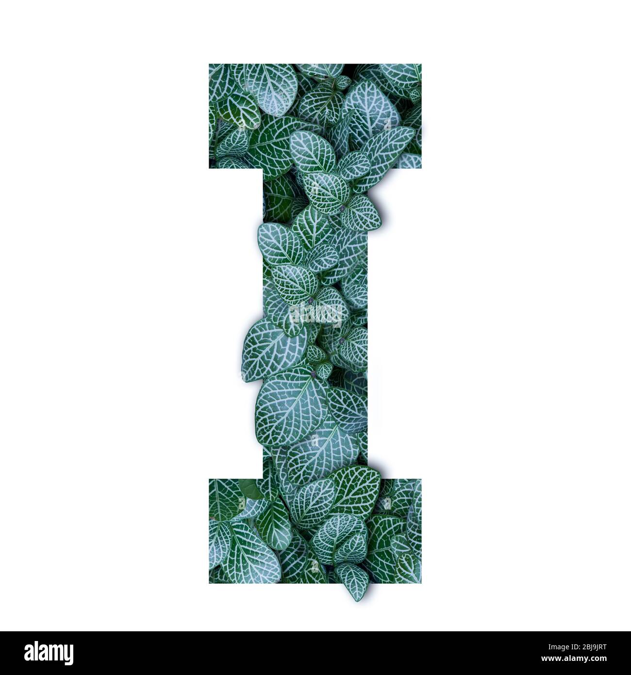 Nature concept alphabet of green leaves in alphabet letter I shapes ...