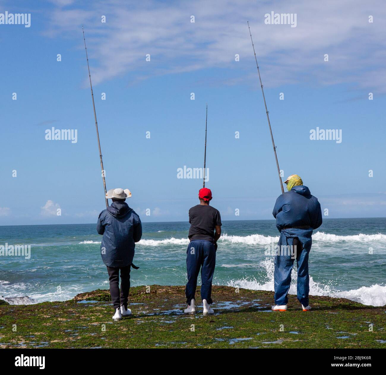 Pat the fish hi-res stock photography and images - Alamy