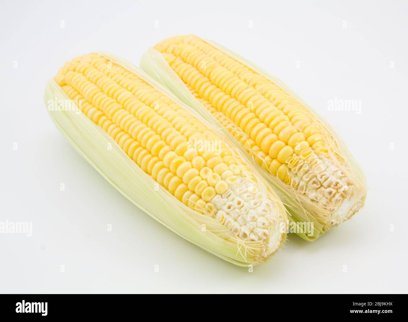 two corn on white background Stock Photo - Alamy