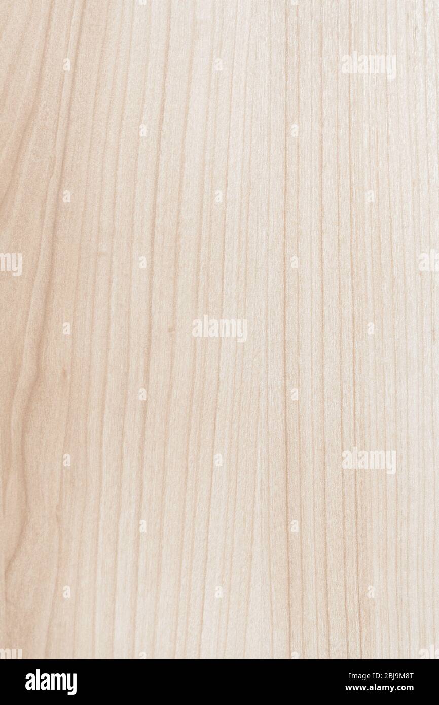 High resolution blonde wood texture Stock Photo - Alamy