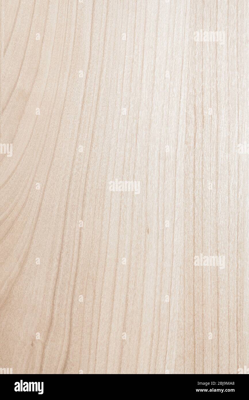 High resolution blonde wood texture Stock Photo - Alamy
