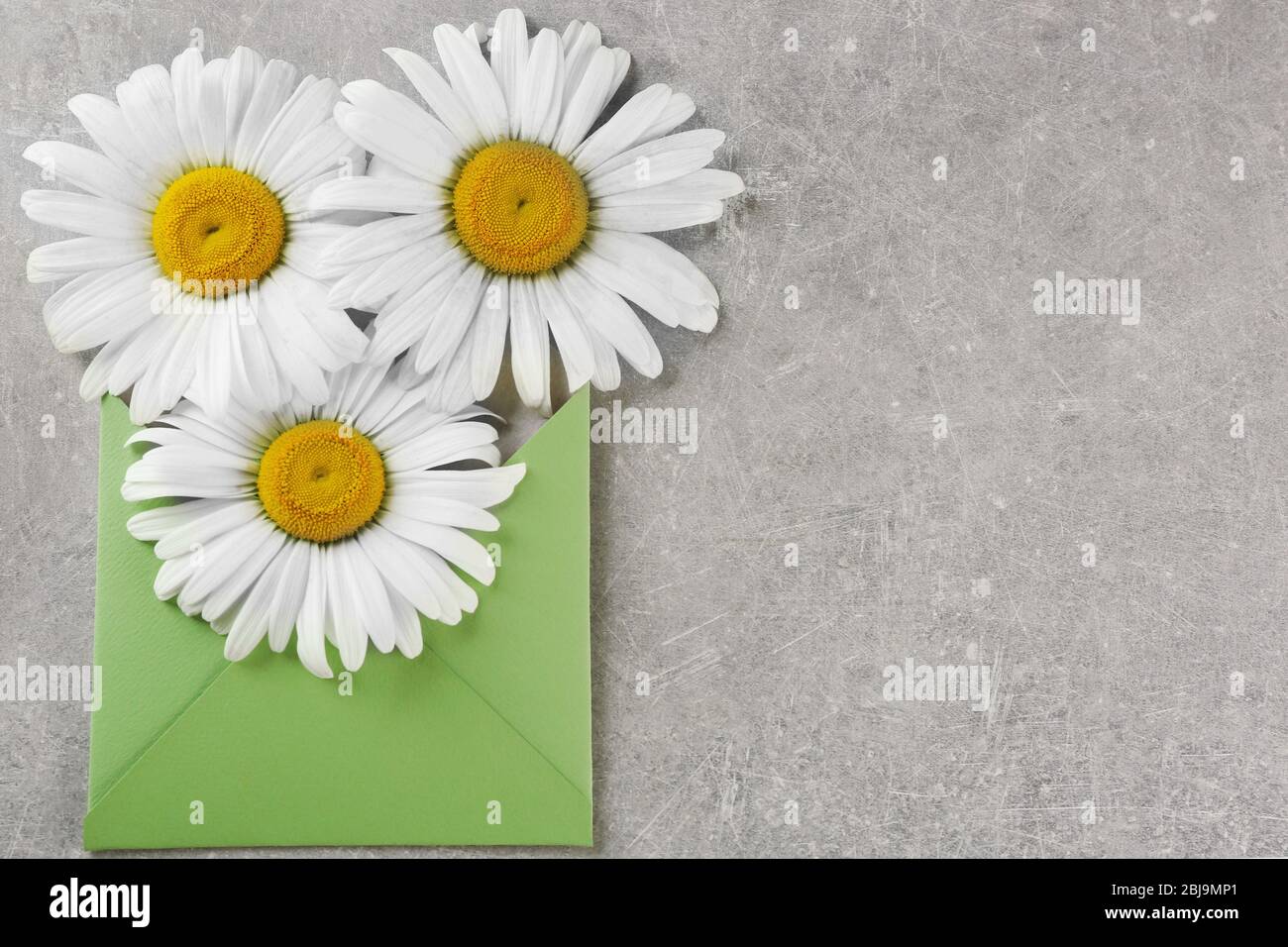 Envelope daisy flowers greeting hi-res stock photography and images - Alamy
