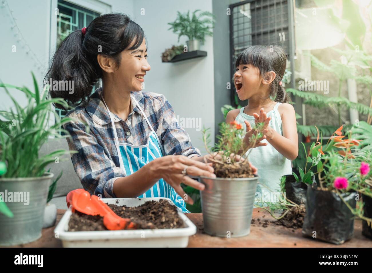 happy excited mother and her daughter gardening together plants some ...