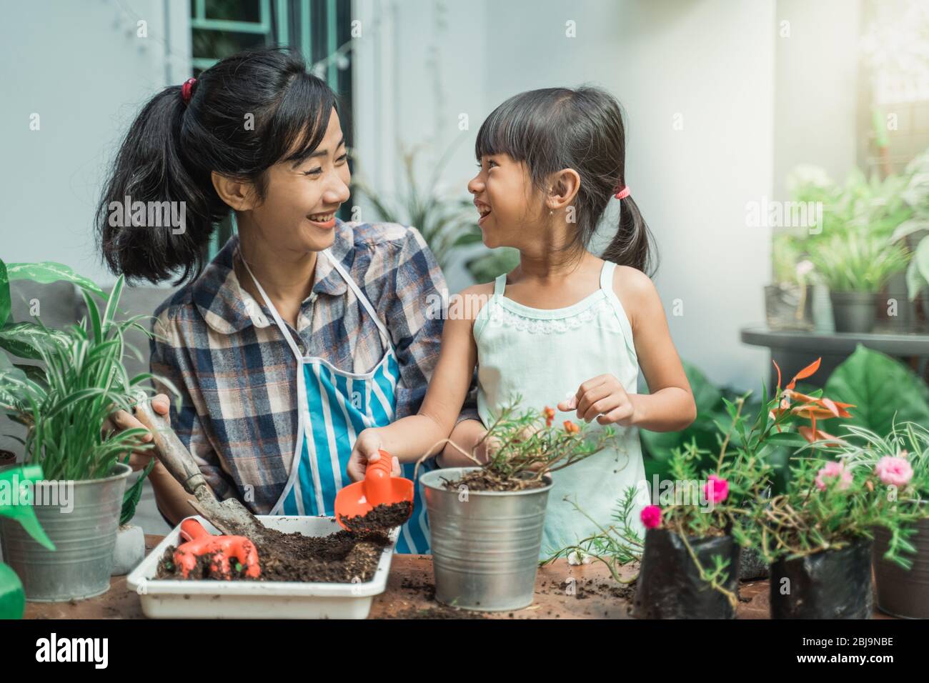 happy excited mother and her daughter gardening together plants some ...
