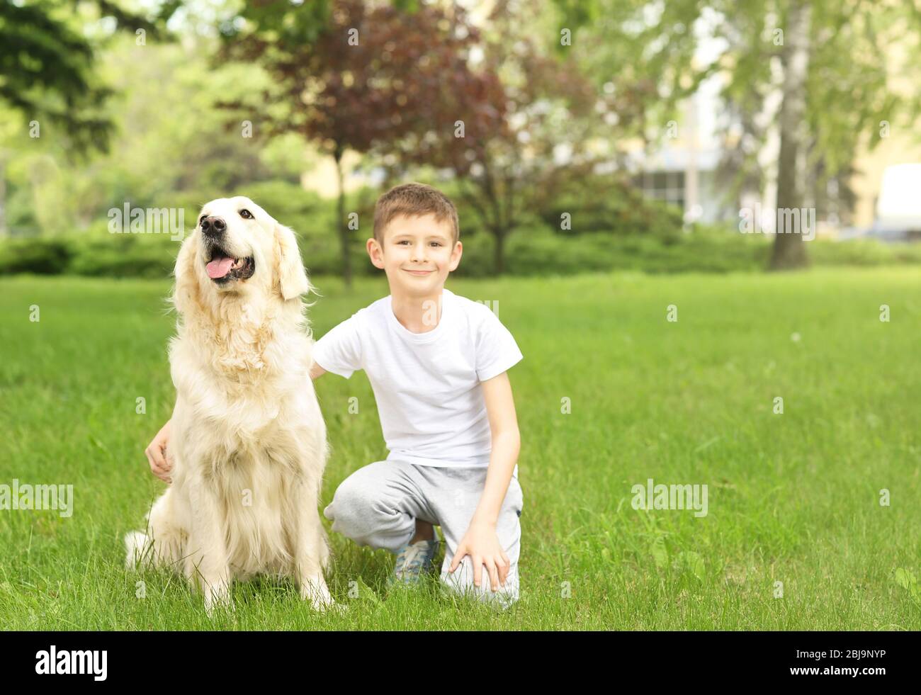 Small boy and cute dog in park Stock Photo - Alamy
