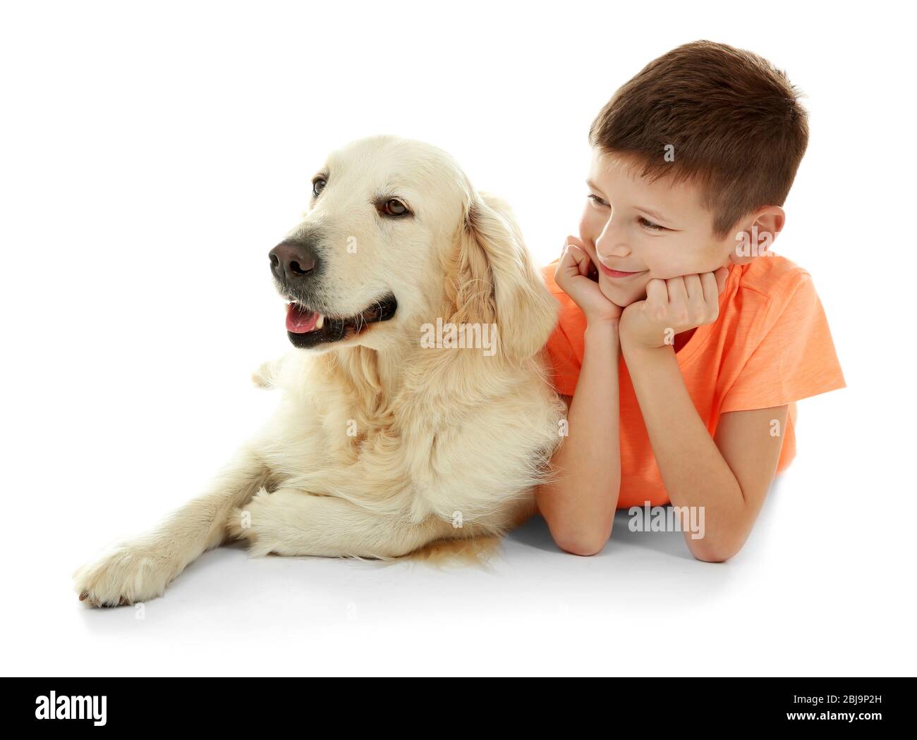 Small boy and cute dog, isolated on white Stock Photo - Alamy