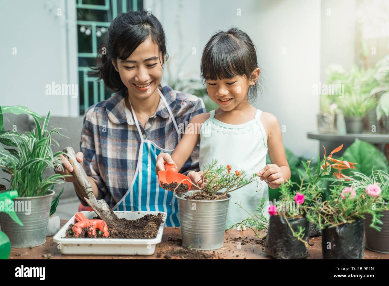 happy excited mother and her daughter gardening together plants some ...