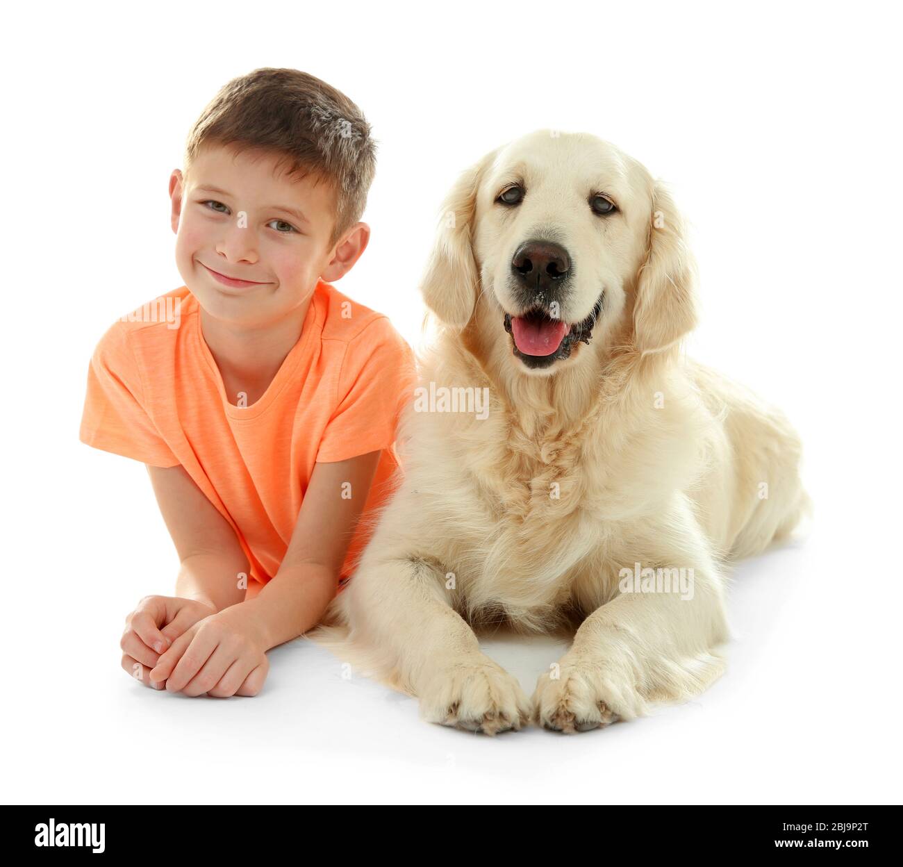 Small boy and cute dog, isolated on white Stock Photo - Alamy