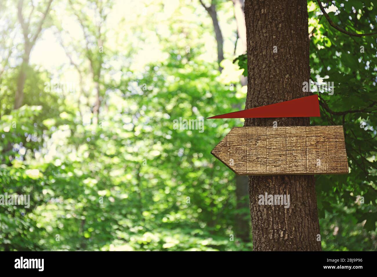 Tree with a sign and arrow Stock Photo - Alamy
