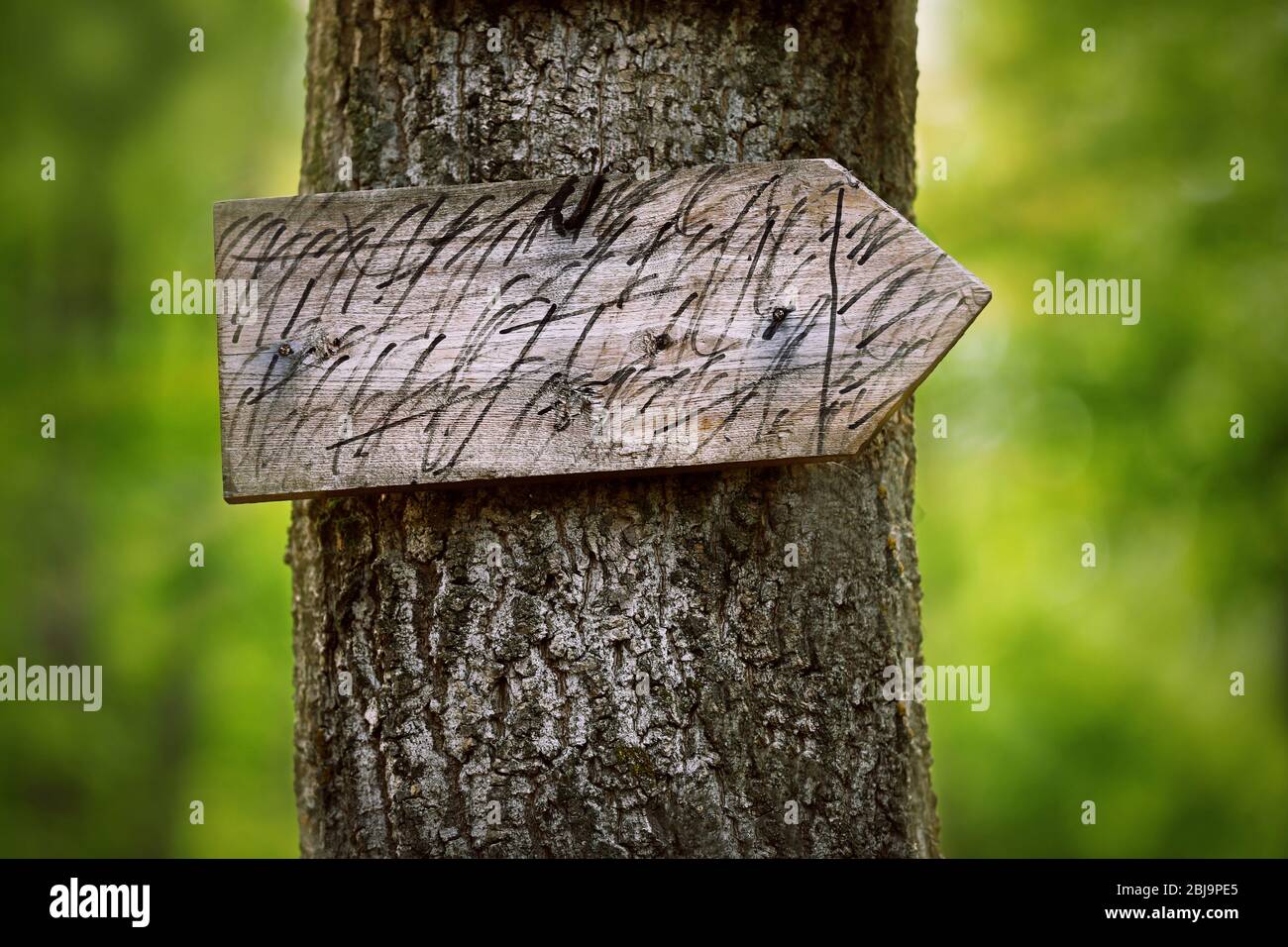 Tree with a sign and arrow Stock Photo - Alamy
