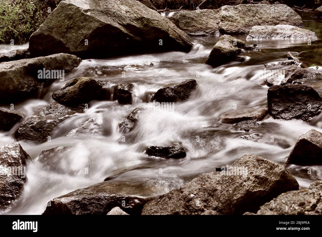 Creek with rocks in a forest Stock Photo - Alamy