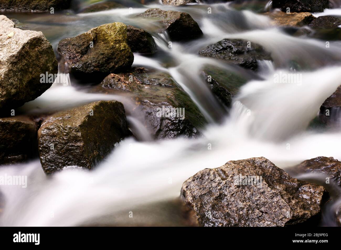 Creek with rocks in a forest Stock Photo - Alamy