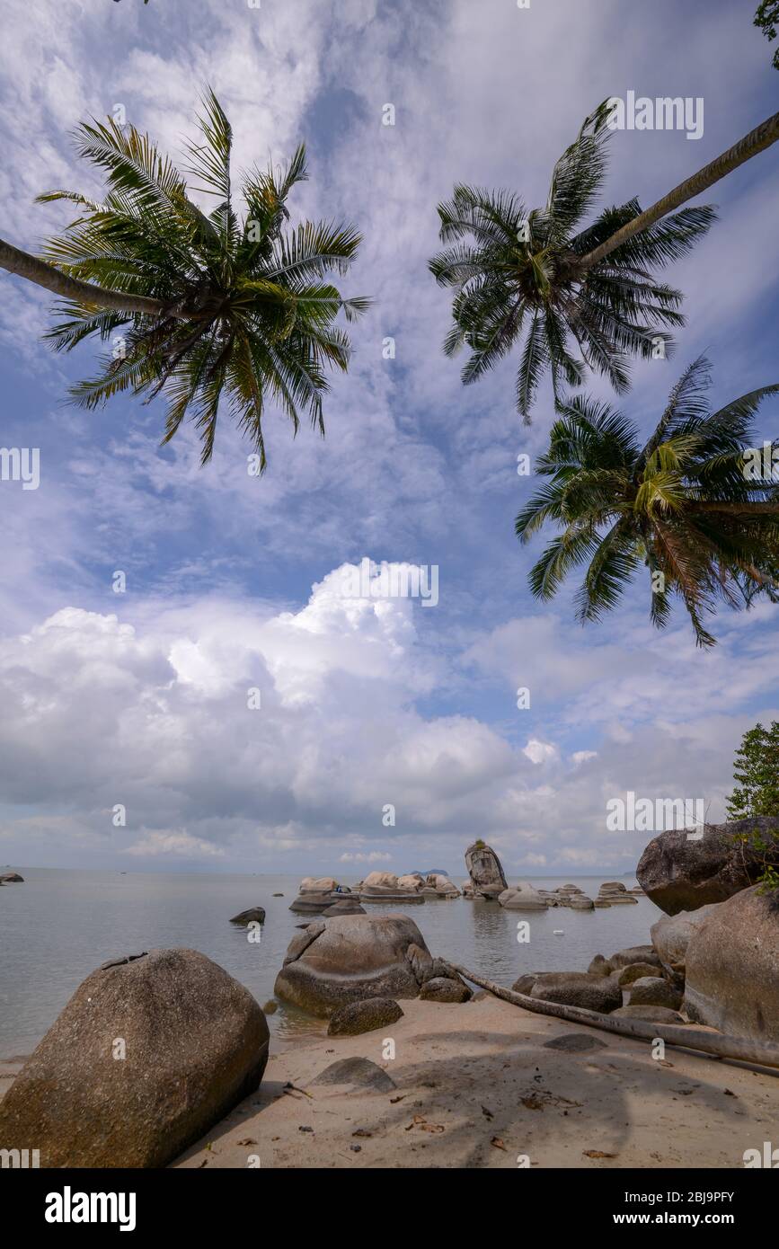 Beautiful scenery coconut trees and rock at beach near permatang Damar ...