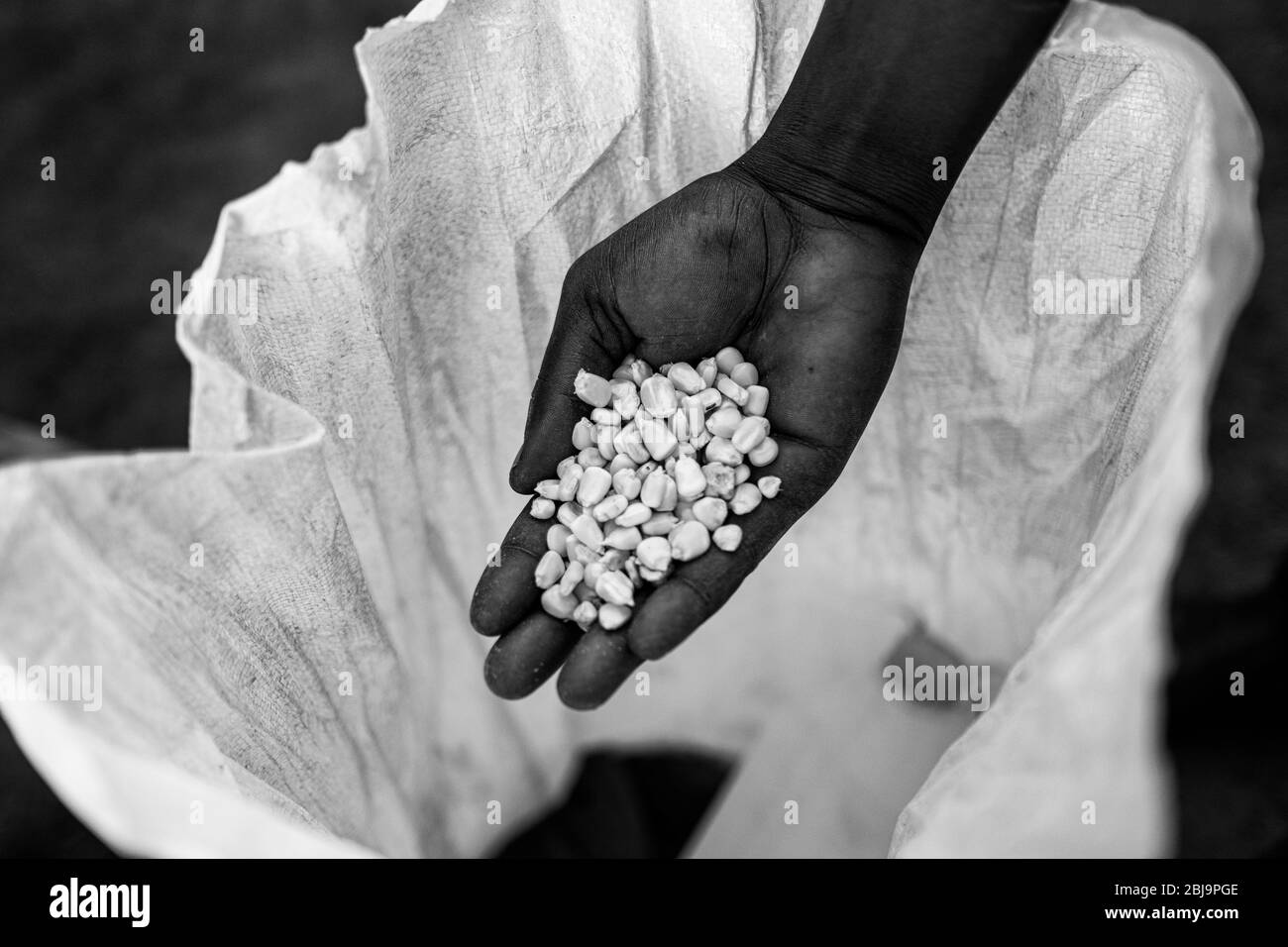 Morobi, Bidibidi, refugee camp, Uganda Stock Photo - Alamy