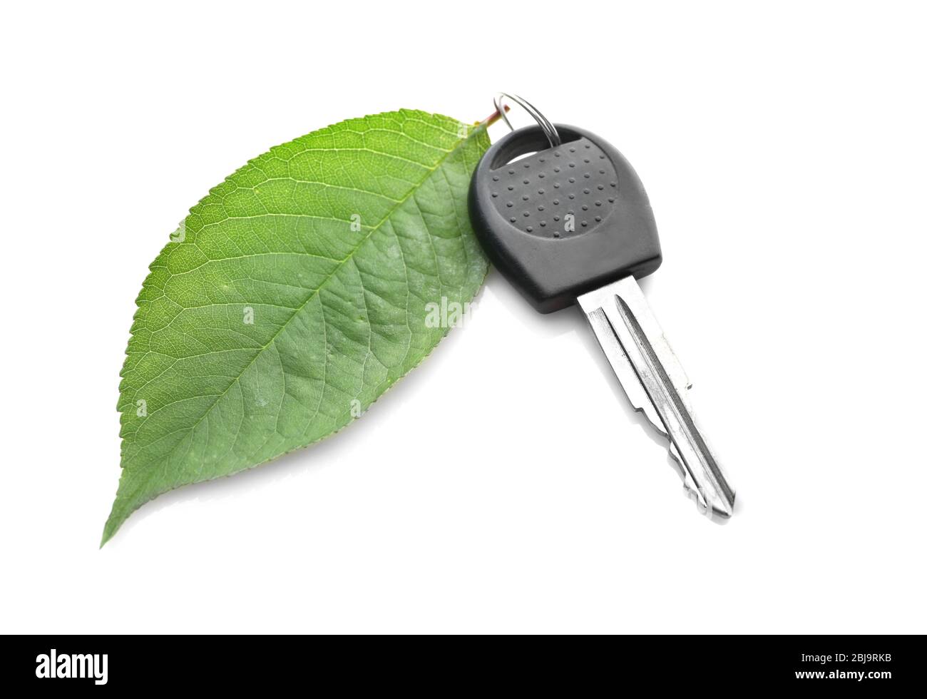 Car key with green leaf, isolated on white Stock Photo - Alamy