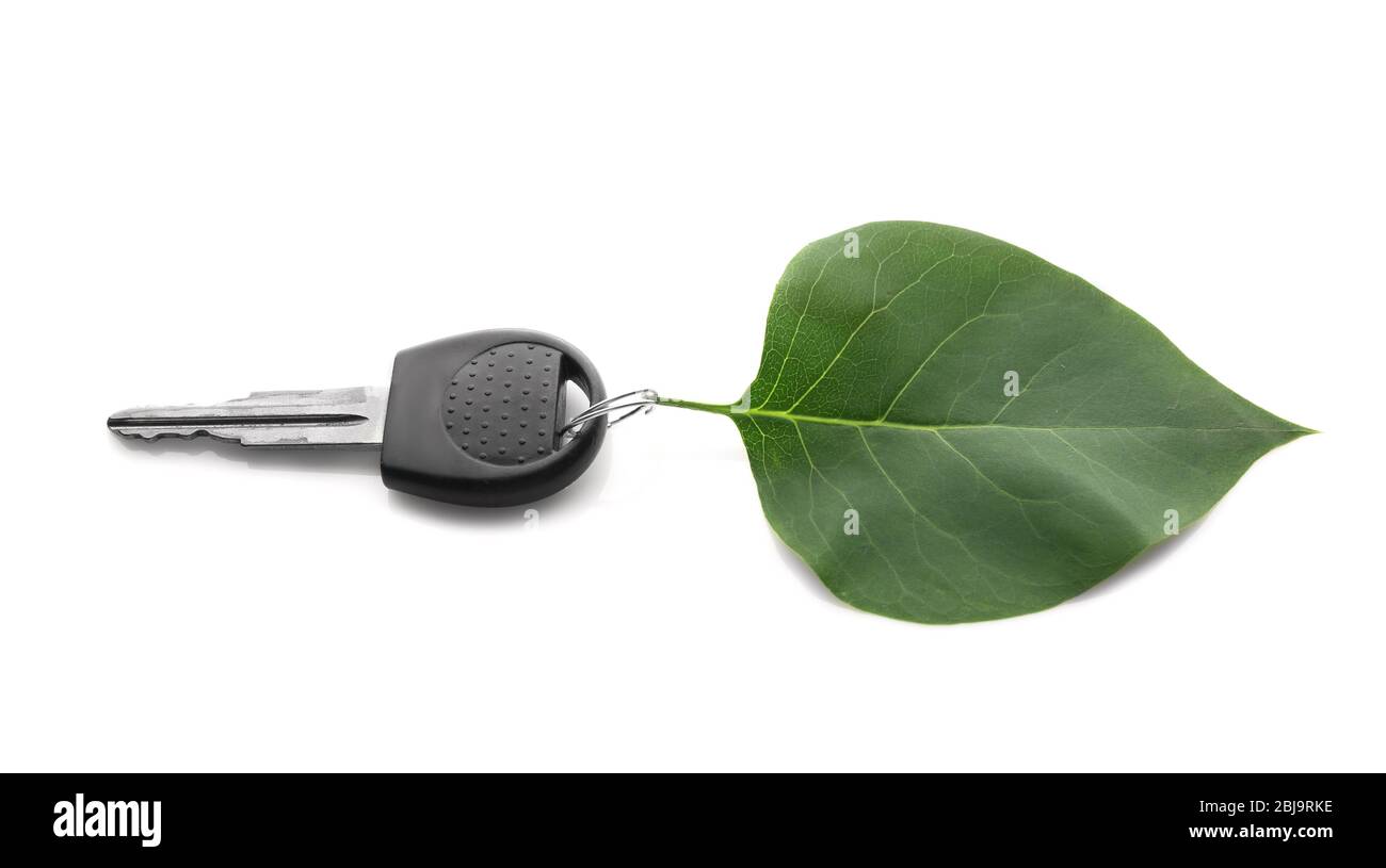 Car key with green leaf, isolated on white Stock Photo - Alamy