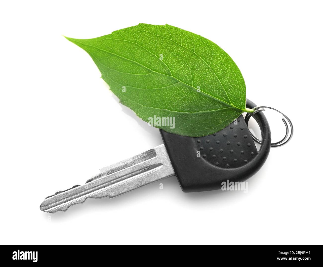 Car key with green leaf, isolated on white Stock Photo - Alamy