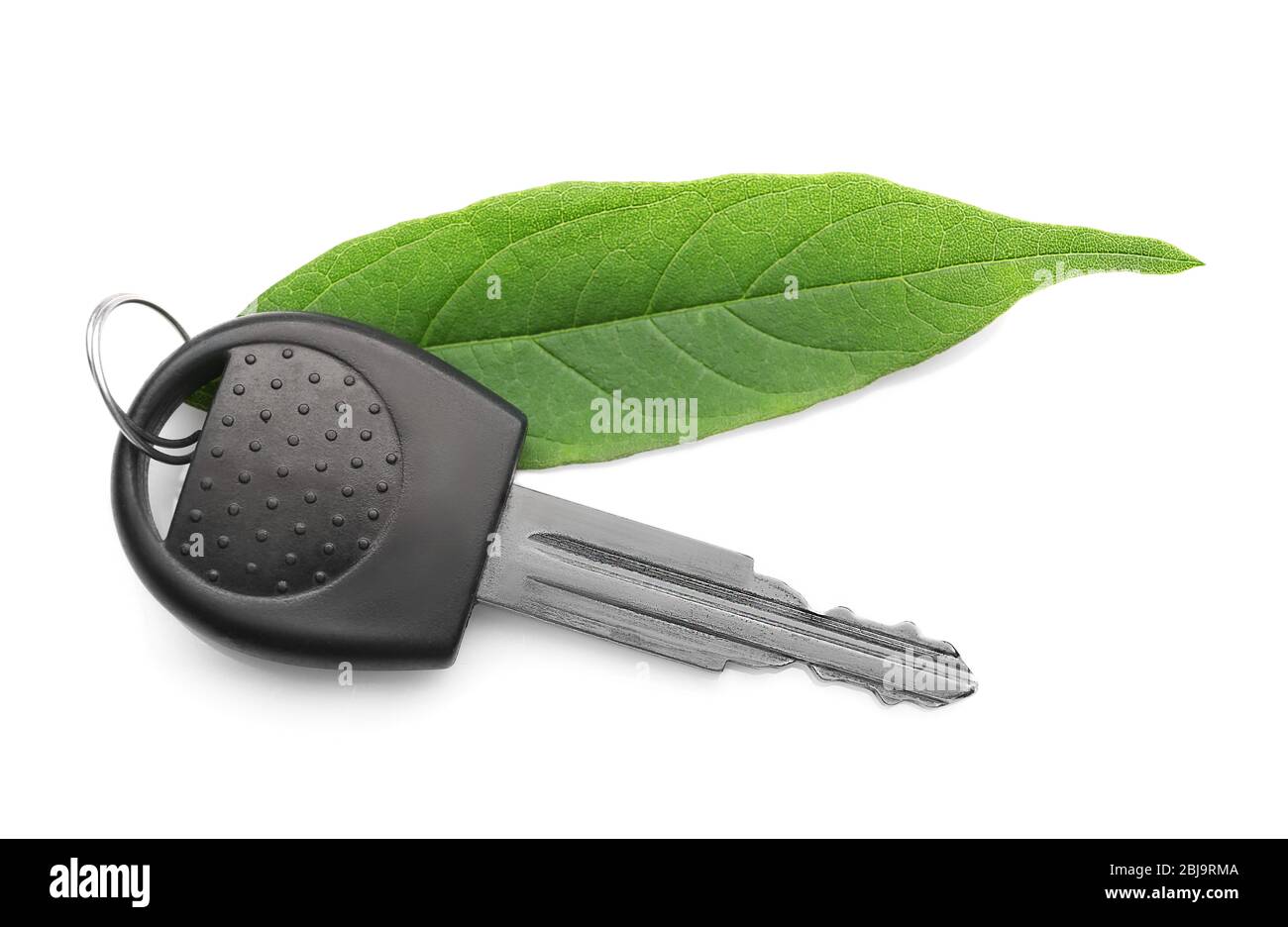 Car key with green leaf, isolated on white Stock Photo - Alamy