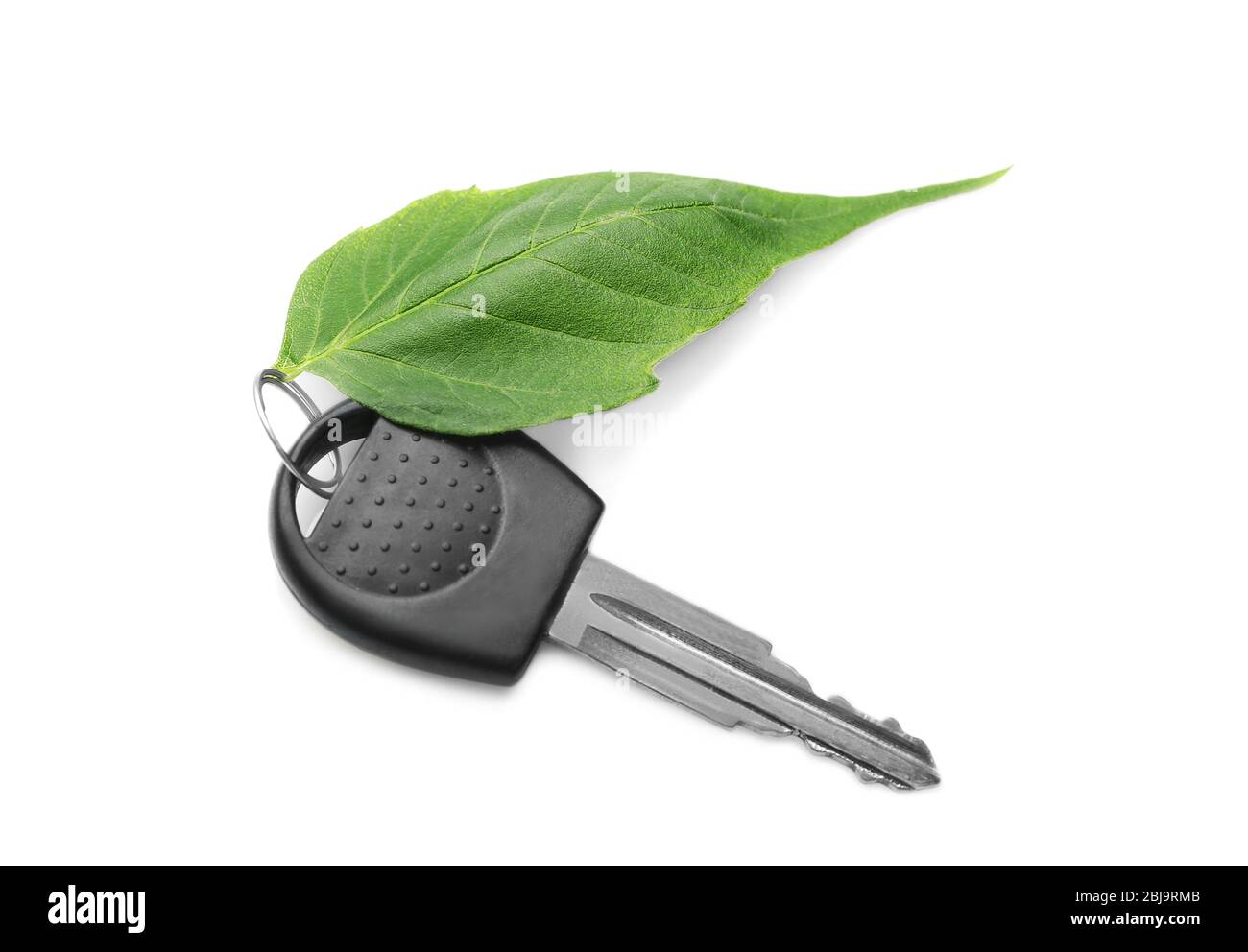 Car key with green leaf, isolated on white Stock Photo - Alamy