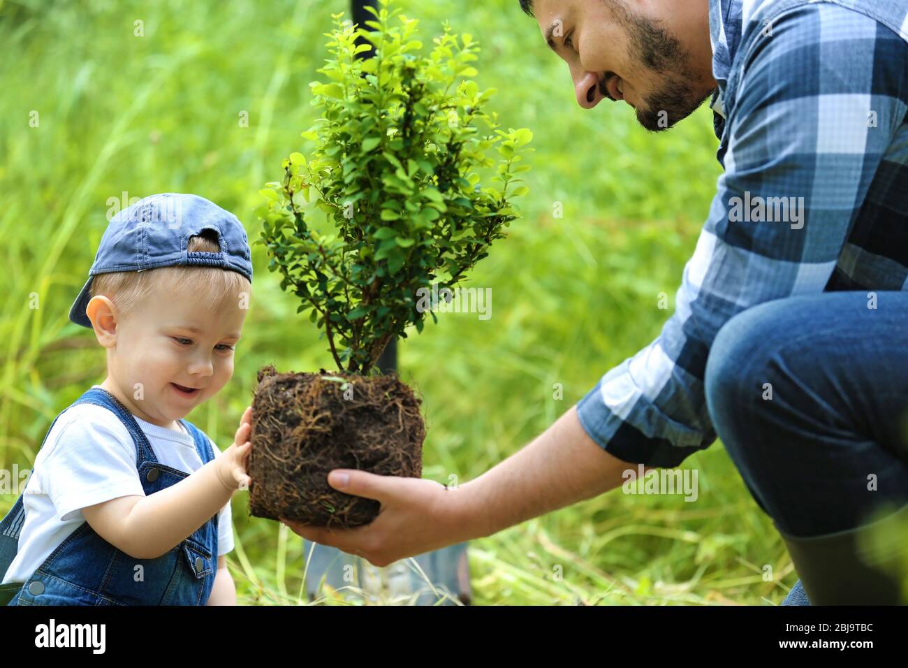 Cute baby boy planting tree with parent in garden Stock Photo - Alamy