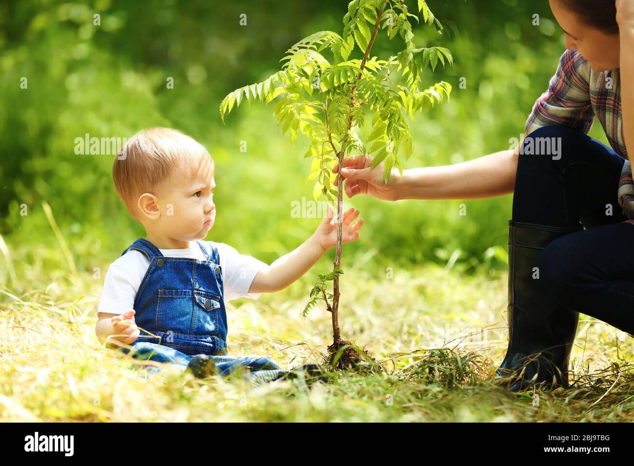 Cute baby boy planting tree with parent in garden Stock Photo - Alamy