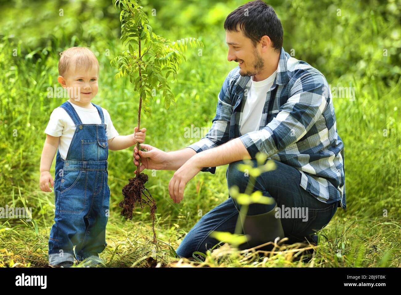 Cute baby boy planting tree with parent in garden Stock Photo - Alamy