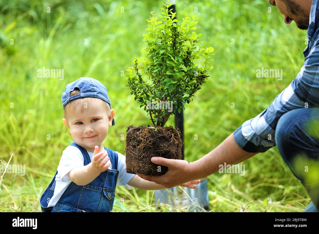 Cute baby boy planting tree with parent in garden Stock Photo - Alamy