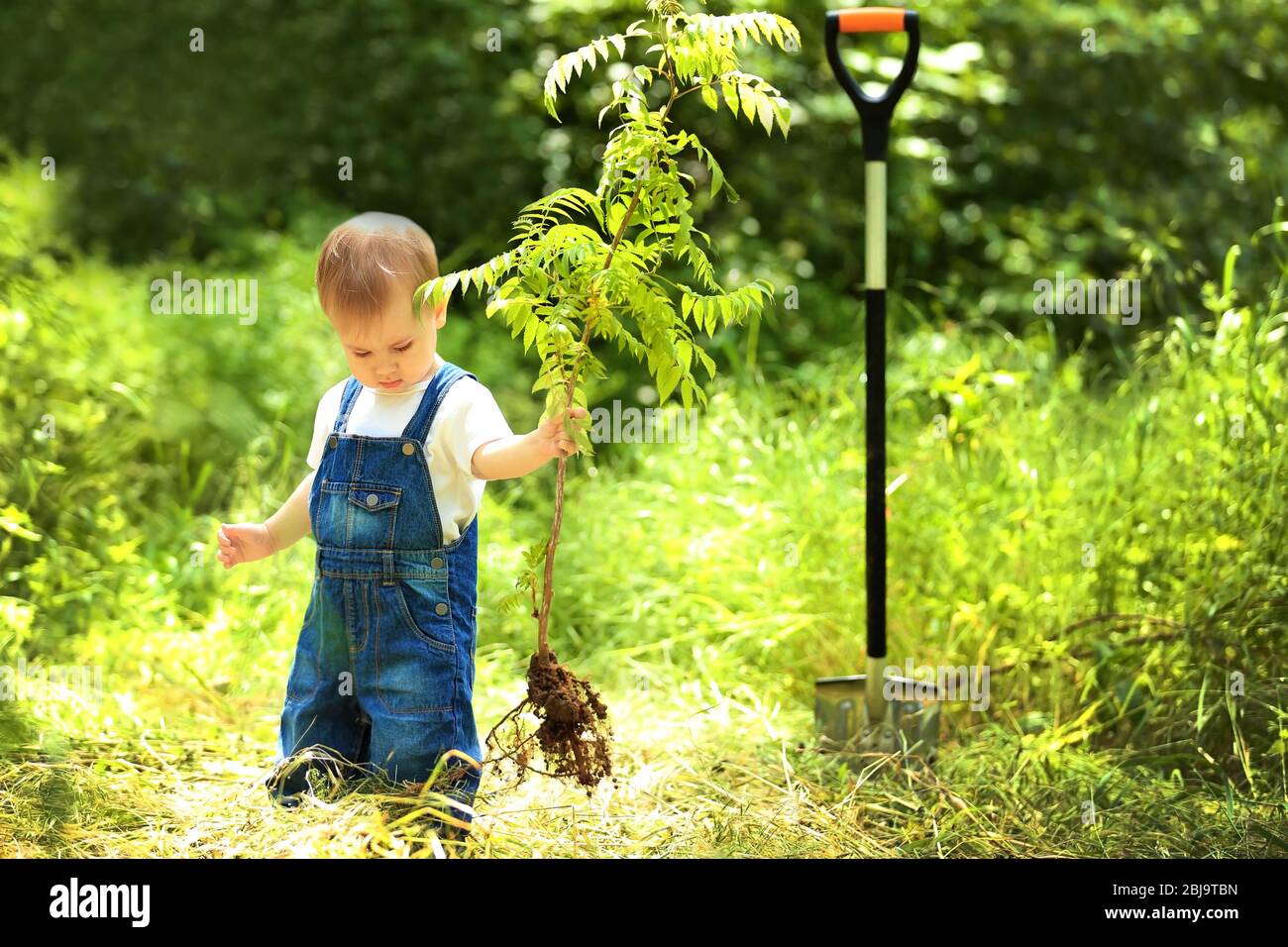 Boy planting tree hi-res stock photography and images - Alamy