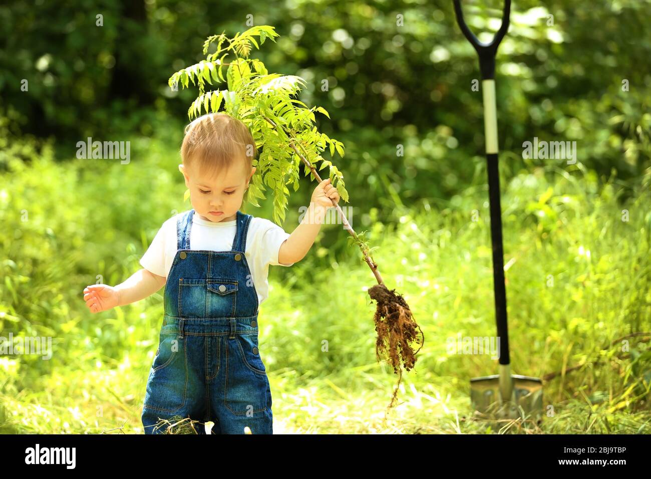 Cute baby boy planting tree in garden Stock Photo - Alamy