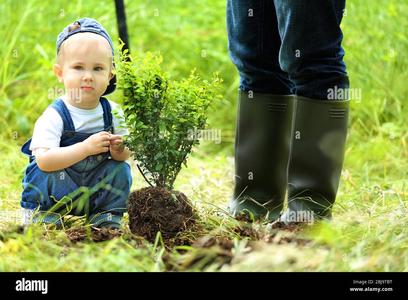 Cute baby boy planting tree with parent in garden Stock Photo - Alamy