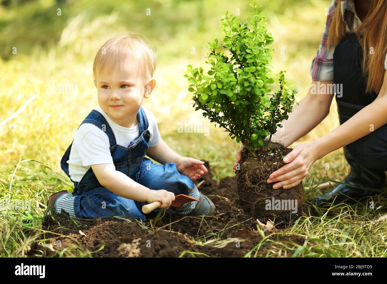 Cute baby boy planting tree with parent in garden Stock Photo - Alamy