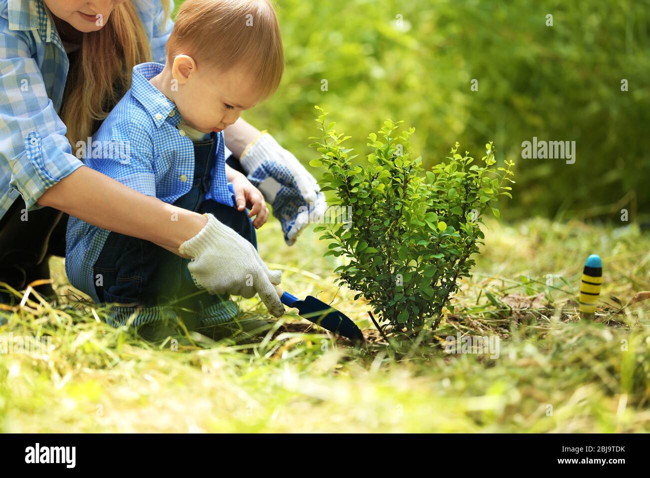 Cute baby boy planting tree with parent in garden Stock Photo - Alamy