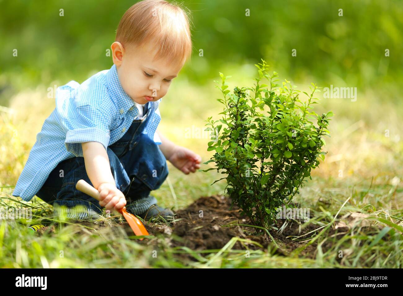 Cute baby boy planting tree in garden Stock Photo - Alamy