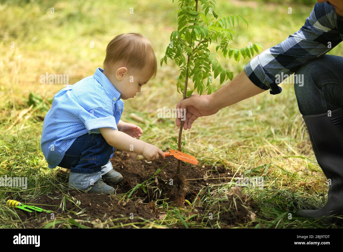 Cute baby boy planting tree with parent in garden Stock Photo - Alamy